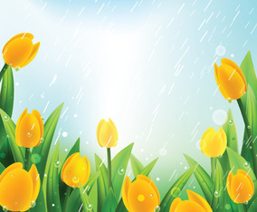 Free rain drop - Vector Art