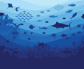 Blue Ocean with Fish Silhouette Background | FreeVectors
