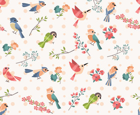 Free bird background - Vector Art