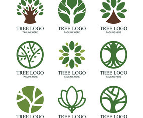 Free tree swing - Vector Art