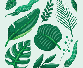 leaf - 4411 Free Vectors to Download | FreeVectors