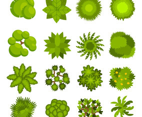 tree top view - 6276 Free Vectors to Download | FreeVectors