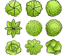 plants plan view - 5859 Free Vectors to Download | FreeVectors