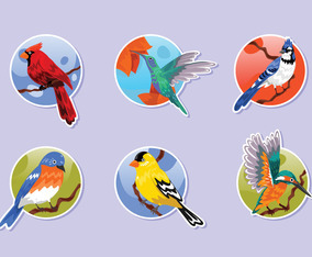 Free bird - Vector Art