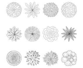 Tree Plan Outline Element Set | FreeVectors