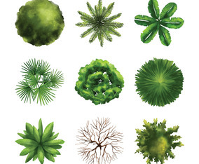 Colorful Architecture Plan Trees