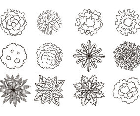 plants plan view - 5859 Free Vectors to Download | FreeVectors