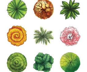 tree top view - 6276 Free Vectors to Download | FreeVectors