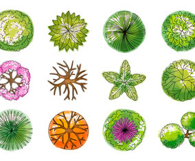 tree top view - 4332 Free Vectors to Download | FreeVectors