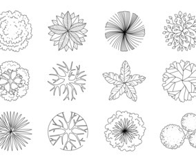 tree top view - 6276 Free Vectors to Download | FreeVectors