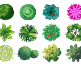 Free tree top - Vector Art