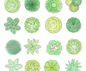 plants plan view - 5859 Free Vectors to Download | FreeVectors