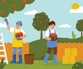 Free apple - Vector Art