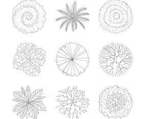 Set of Tree Plan Outline | FreeVectors