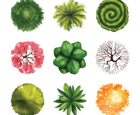 tree top view - 6276 Free Vectors to Download | FreeVectors