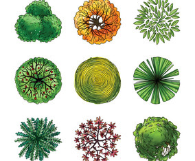 tree top view - 6276 Free Vectors to Download | FreeVectors