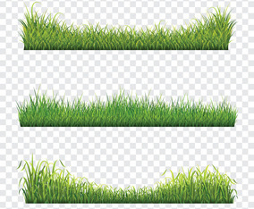 Free grass - Vector Art