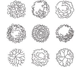 tree top view - 4332 Free Vectors to Download | FreeVectors