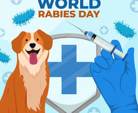 World Rabies Day Infographic | FreeVectors