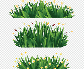 Free grass - Vector Art