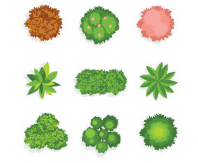 tree top view - 6276 Free Vectors to Download | FreeVectors