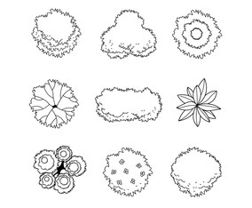 tree top view - 6276 Free Vectors to Download | FreeVectors