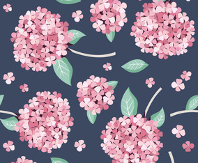 Free pink hydrangeas - Vector Art