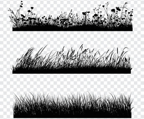 Free grass - Vector Art
