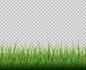 Free transparent - Vector Art