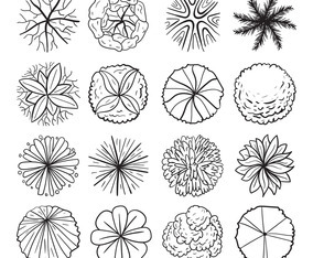 plants plan view - 5859 Free Vectors to Download | FreeVectors