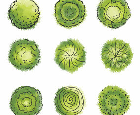 plants plan view - 5859 Free Vectors to Download | FreeVectors