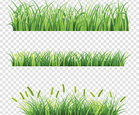 Free grass - Vector Art