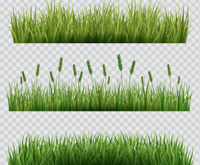 Free transparent - Vector Art