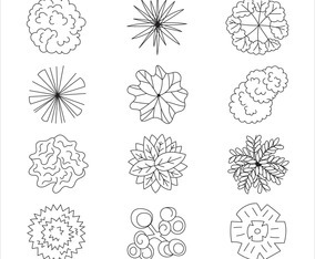Free tree plan - Vector Art