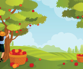 Free apple - Vector Art