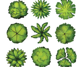 plants plan view - 3706 Free Vectors to Download | FreeVectors