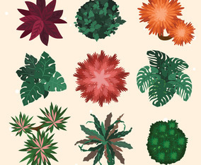 tree top view - 4332 Free Vectors to Download | FreeVectors
