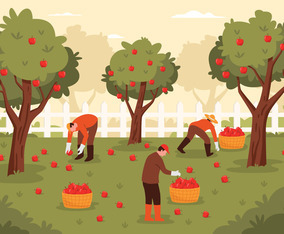 Free apple - Vector Art