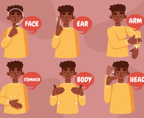 American Sign Language Body Part Set | FreeVectors