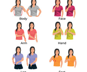 Free body swelling - Vector Art