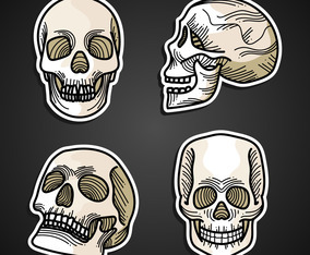 Free skull - Vector Art