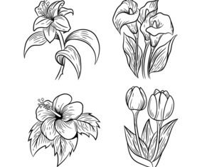 Hand Drawn Flowers