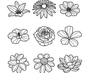 Hand Drawn Flowers