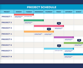 Weekly Project Timeline