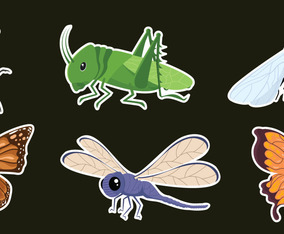 Cute Spring Insect Sticker