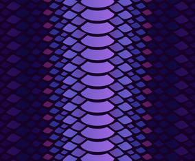 Free snakeskin - Vector Art