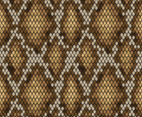 Free snake - Vector Art