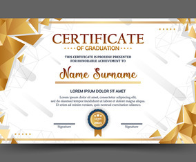 Professional Education Certificate