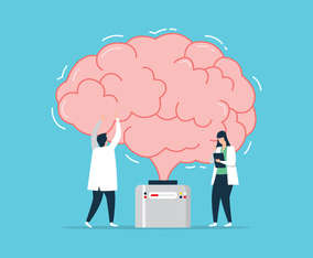 Free brain function - Vector Art