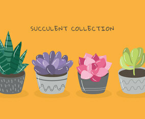 Free succulent - Vector Art